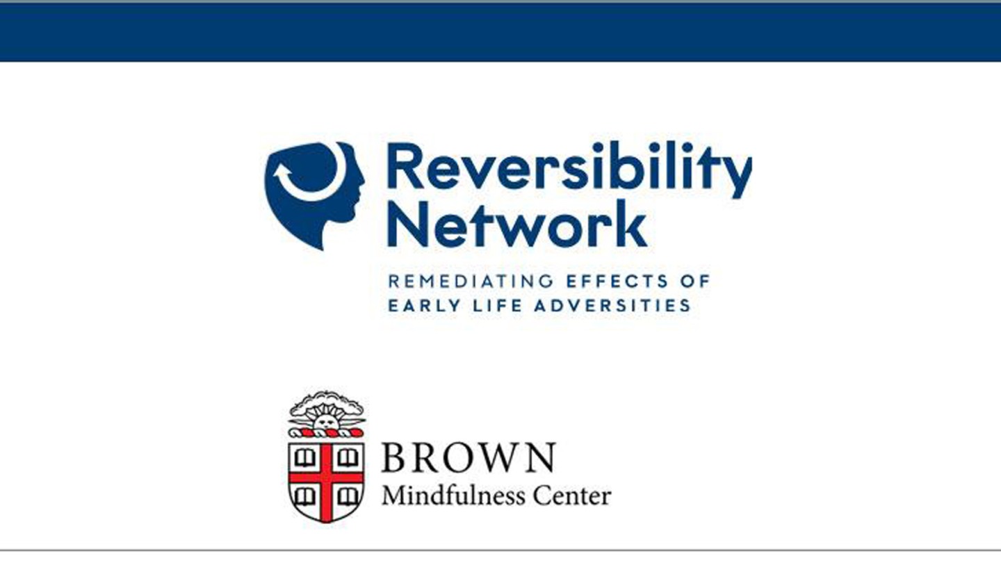 The Reversibility Network Application for Pilot Funding | Mindfulness ...